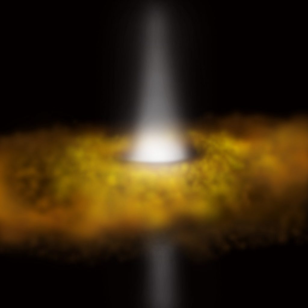The Surprising Connection Between Human Bodies and Supernova Explosions ...