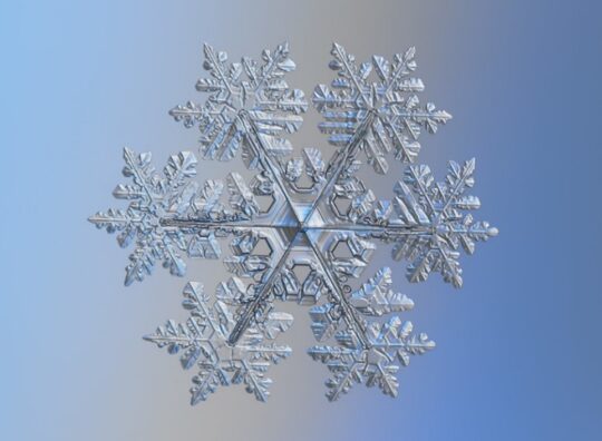The Mystery of Snowflakes and (Dis)Similarity in Nature - The Quantum ...