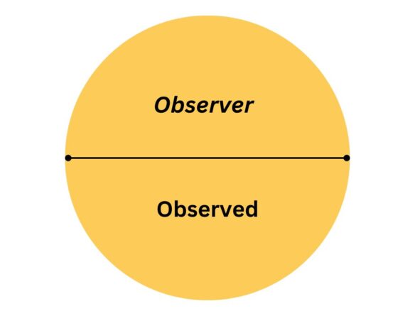 The Observer Effect: Why Do Our Measurements Change Quantum Outcomes ...