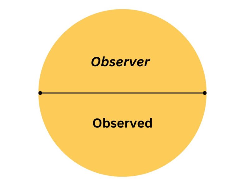The Observer Effect: Why Do Our Measurements Change Quantum Outcomes ...